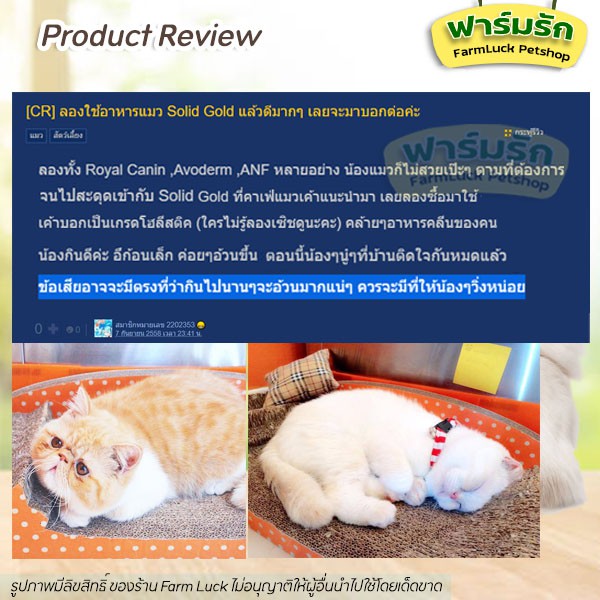 (1.3kg) Solid Gold Indigo Moon อาหารแมว สูตร Indigo Moon สำหรับแมวทุกวัย โปรตีนสูง - domonpet ...