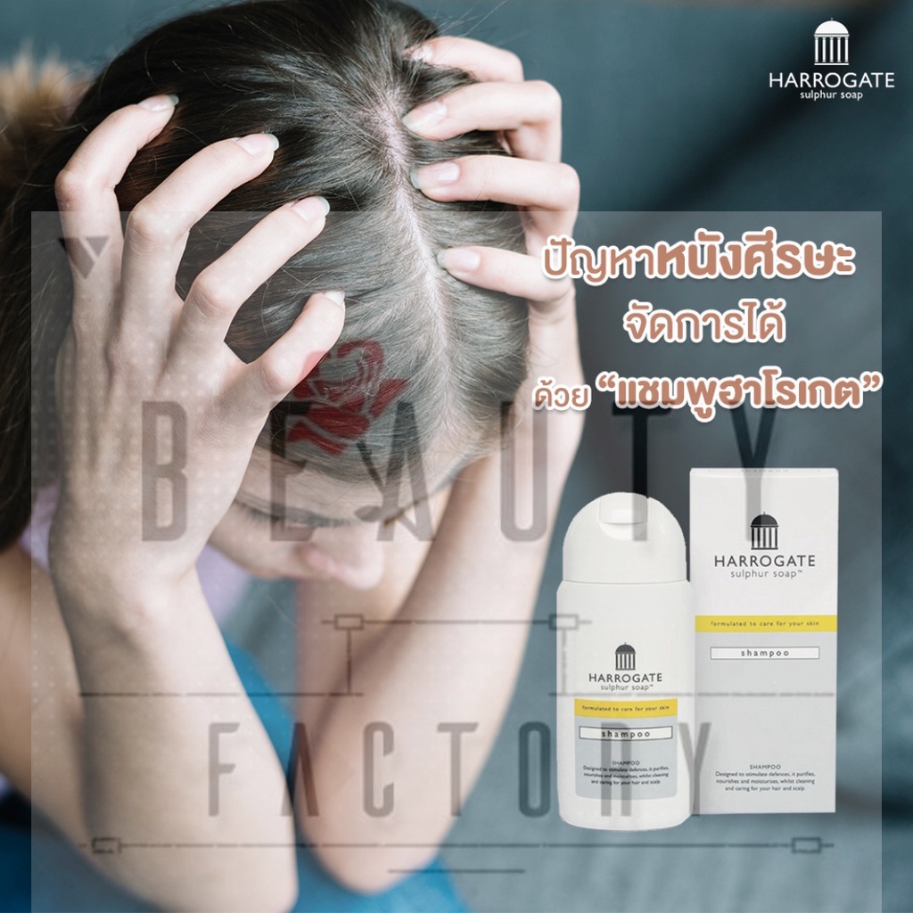 Harrogate Shampoo แชมพูฮาโรเกต 150ml - beautyfactory69 - ThaiPick