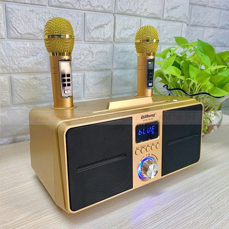(ITC) READY STOCK SDRD SD-309 Wireless Bluetooth Dual Microphone Karaoke Portable Speaker Home ...