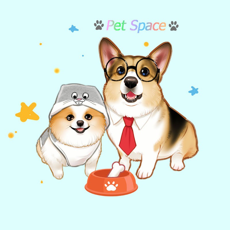 pet-space-shopee-thailand