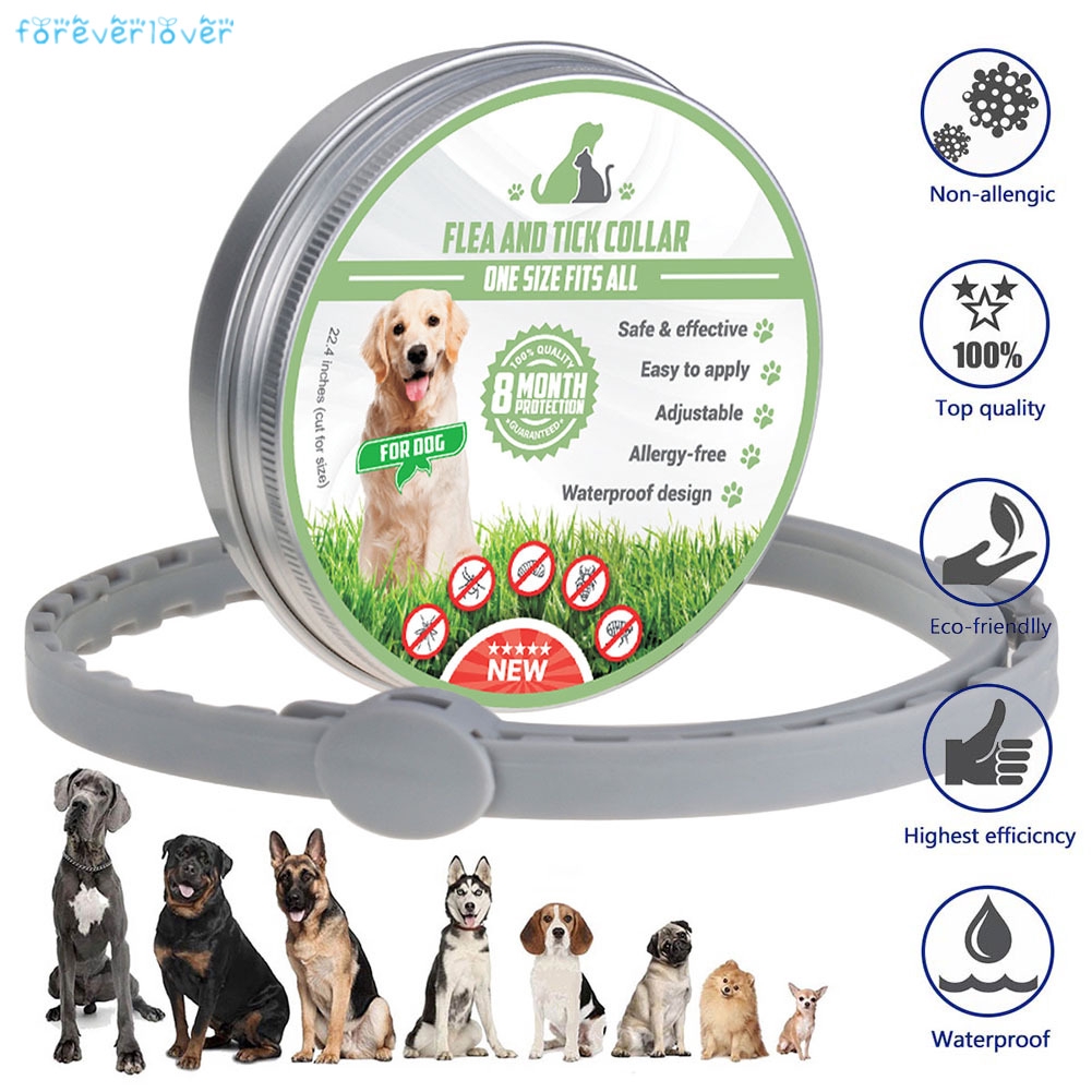 Adjustable Dog Cat Collar Anti Flea Ticks Mosquitoes Outdoor Protective ...