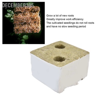 December305 12pcs Grow Block Fast Absorption Mini Double Hole Cultiwool ...