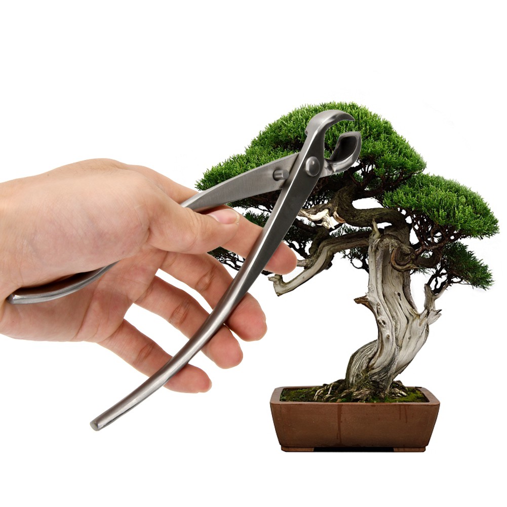 [READY STOCK] Bonsai Tools DIY Branch Cutter Straight Edge Standard ...