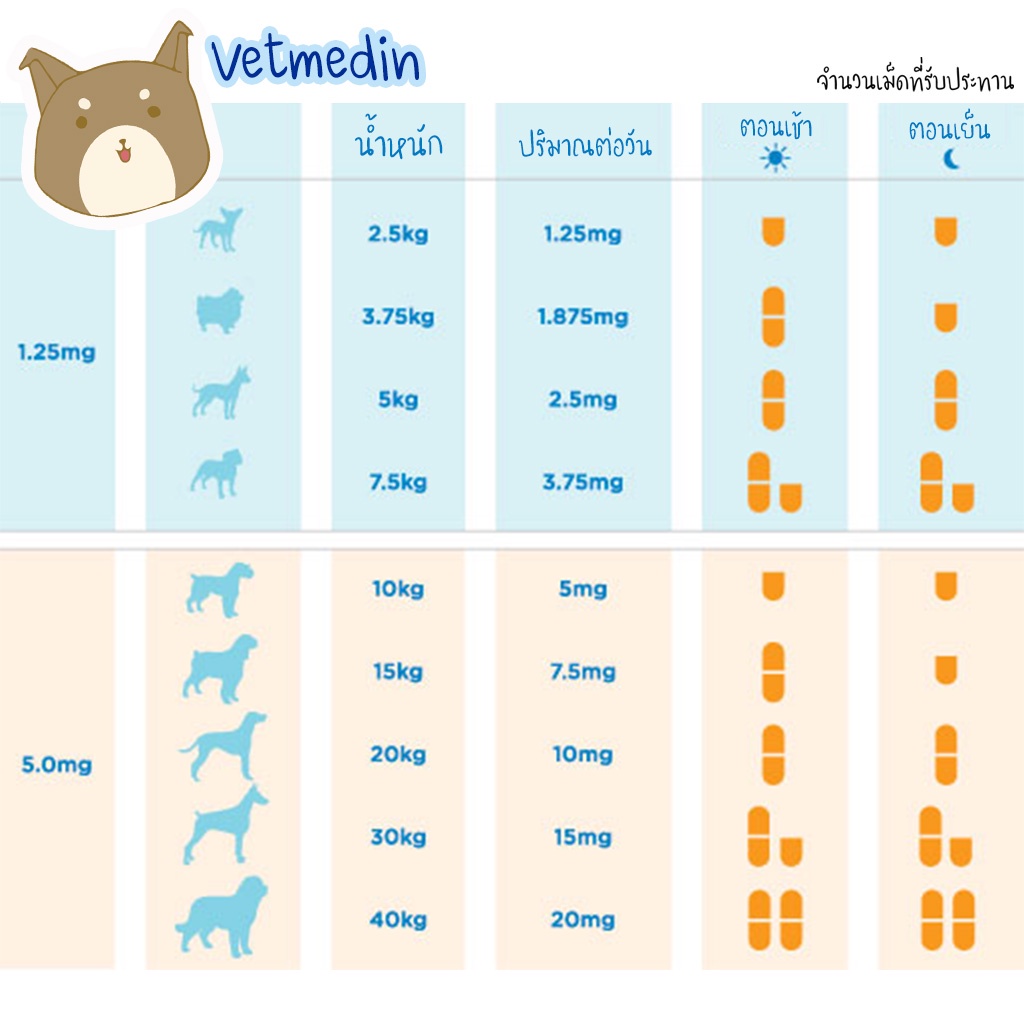 Vetmedin 1.25 mg ยาโรคหัวใจสำหรับสุนัข 100 เม็ด - mystic.shop - ThaiPick