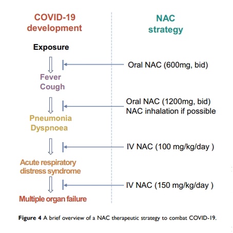 NAC long แนค ลอง ของแท้ เม็ดฟู่ละลายเสมหะ 600mg บรรจุ 10 เม็ด ...
