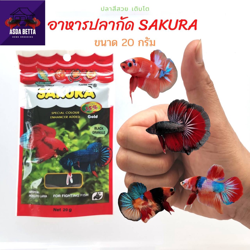 ซากุระ ปลากัด ชนิดเม็ดลอยน้ำ SAKURA BETTA ลูกน้ำอบแห้ง อาหารปลากัด 20 ...