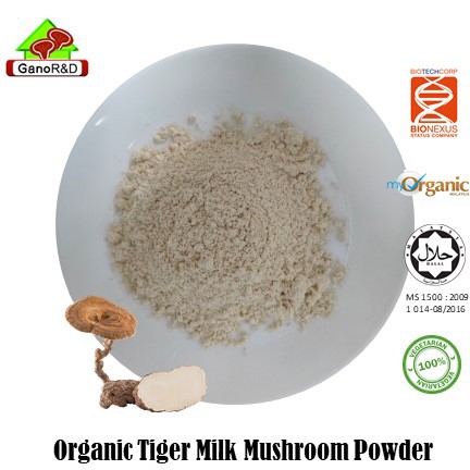 10g Organic Tiger's Milk Mushroom Powder/ผงเห็ดนมเสือออร์แกนิค | Shopee ...
