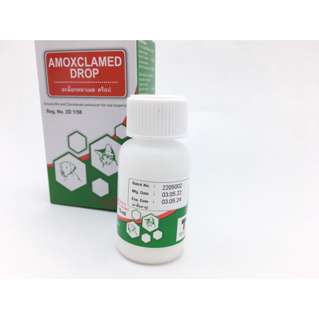 Amoxclamed Drop 15 ml รักษาการติดเชื้อแบคทีเรียในสุนัข และแมว ...