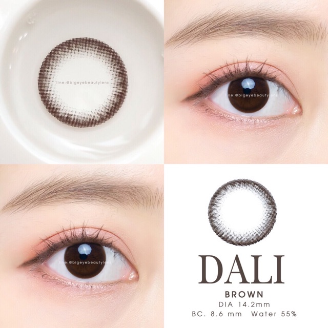 Dali brown ค่าสายตา -0.00 - 10.00 คอนแทคเลนส์ รายเดือน ยี่ห้อ ...