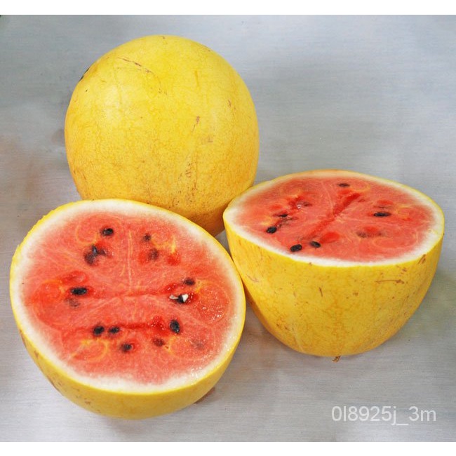 Yellow Skin Watermelon Fuit Vegetable Seeds (20 seeds ) - Basic Farm ...