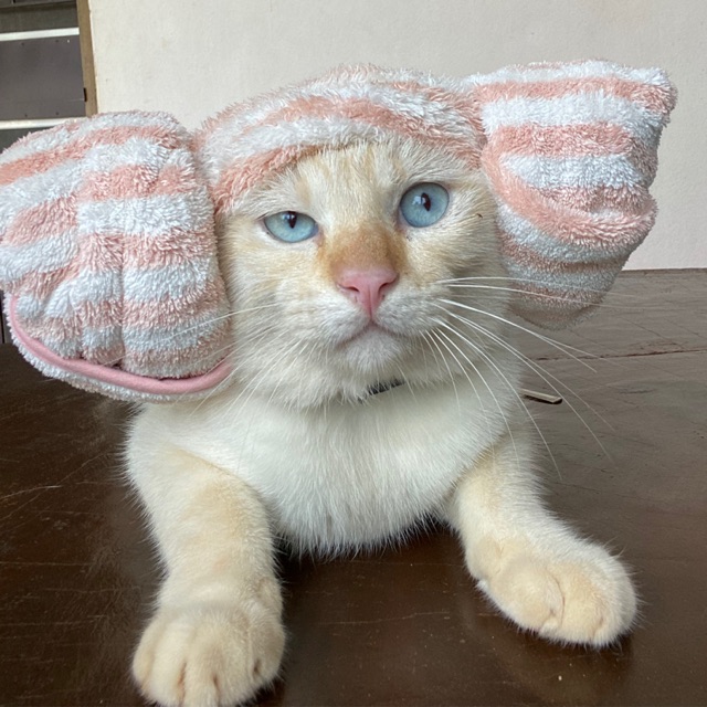 MMMM:), ร้านค้าออนไลน์ | Shopee Thailand