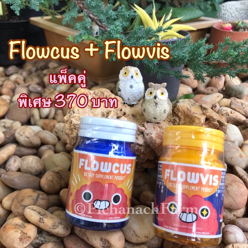 Flowcus ถูกที่สุด พร้อมโปรโมชั่น - ม.ค. 2022 | BigGo เช็คราคาง่ายๆ