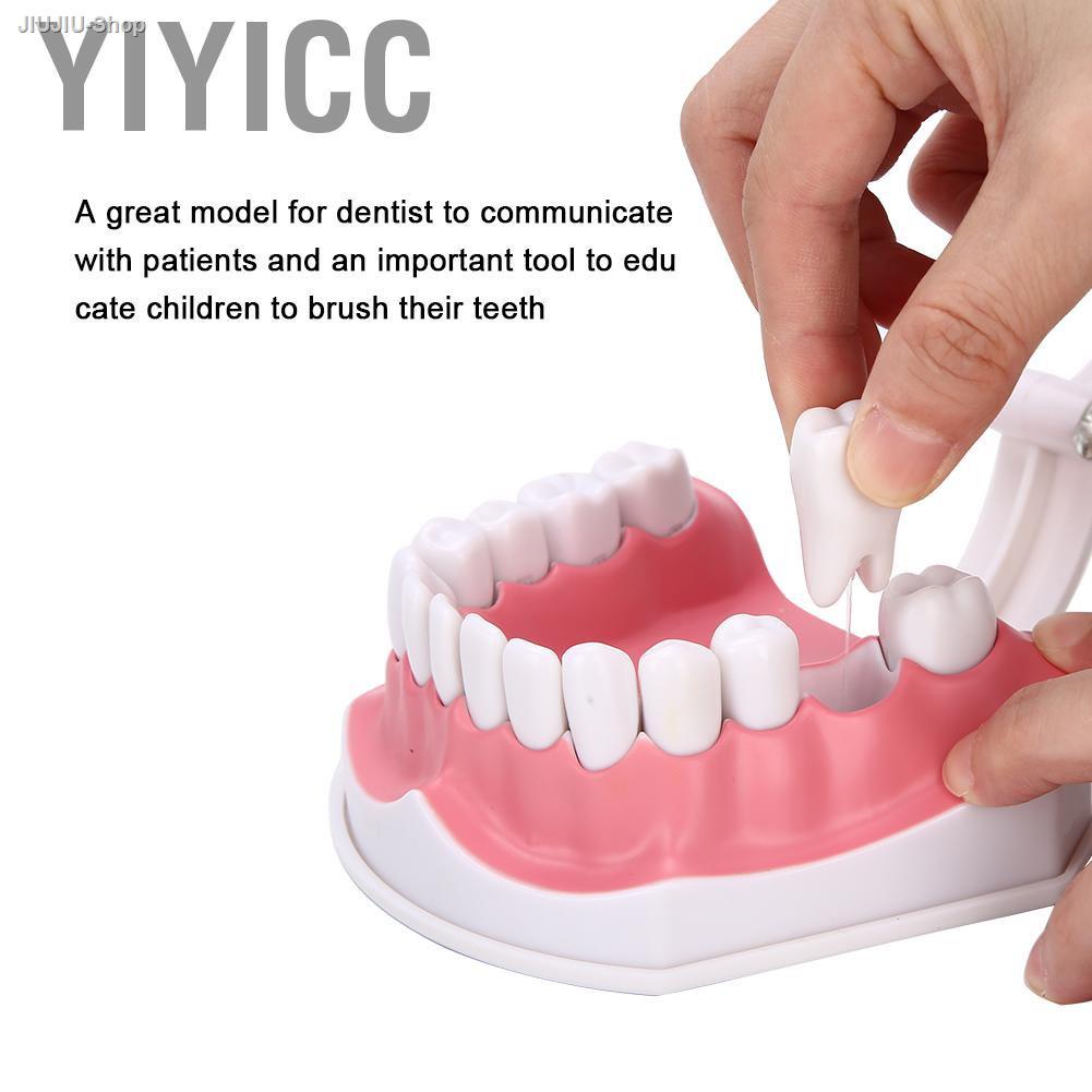 styleYiyicc Dental Tooth Model Studying Standard Teeth Teaching Cavity ...
