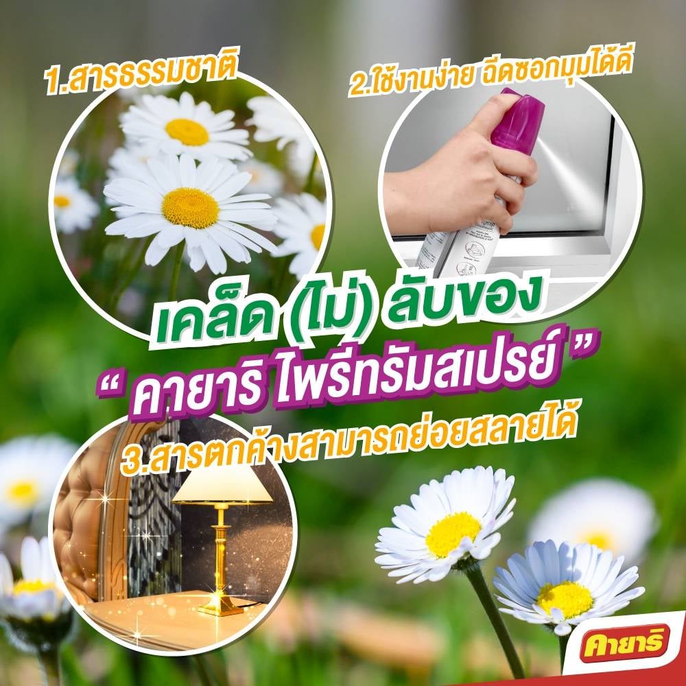 KAYARI PYRETHRUM Spray คายาริ ไพรีทรัม สเปรย์กำจัดแมลง กำจัดยุง แมลงวัน ...