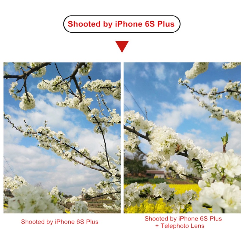 เลนส์กล้อง 4K HD 2.5X Telephoto Lens Kit 65mm No Distortion Phone ...