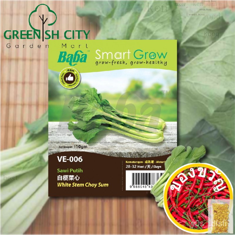 GNC - Baba Smart Grow Seeds VE-006 Hong KongBig Stem Choy Sum (Sawi ...