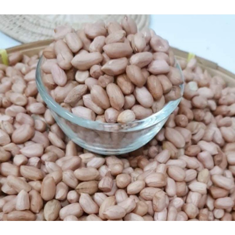 ถั่วลิสงดิบ ไทนาน9(ถั่วลิสงอินทรีย์) ขนาด1กิโลกรัม(เมล็ดพันธุ์คัดเกรดAA ...