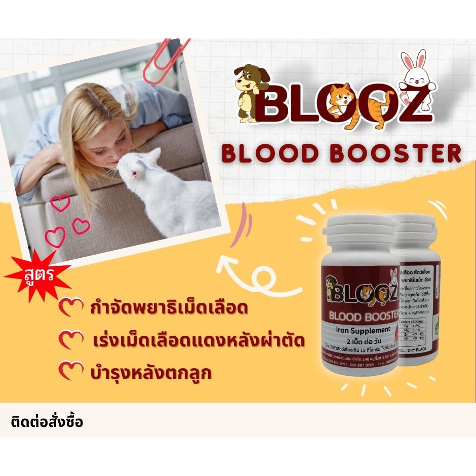 Blooz ถูกที่สุด พร้อมโปรโมชั่น ก.พ. 2023|BigGoเช็คราคาง่ายๆ