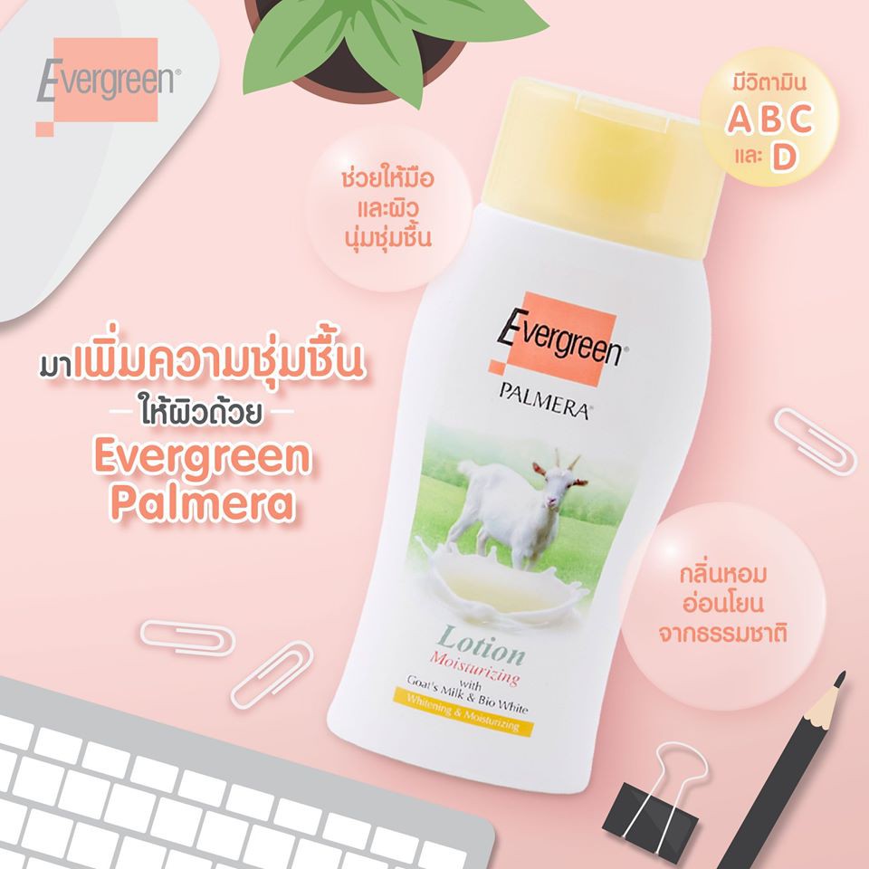 เอเวอร์กรีน พาล์มเมรา แฮนด์ แอนด์ บอดี้ โลชั่น นมแพะ 300 มล. Evergreen ...