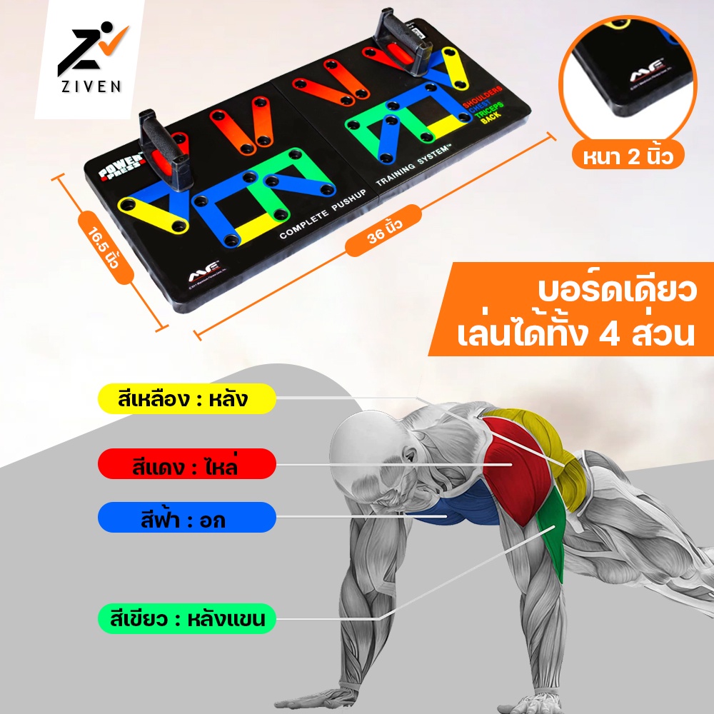ZIVEN 24 in 1 บริหาร อก หลัง ไหล่ แขน ได้ครบในเครื่องเดียว บอร์ดวิดพื้น ...