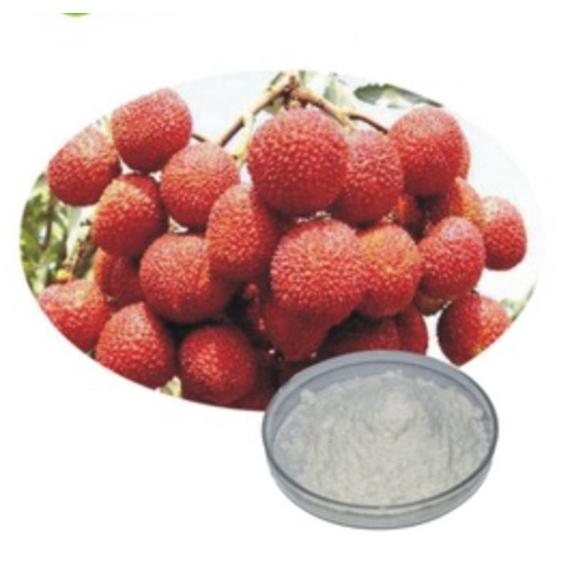 100 Pure Natural litchi Juice Powderlitchi Fruit Powder free shipping ...