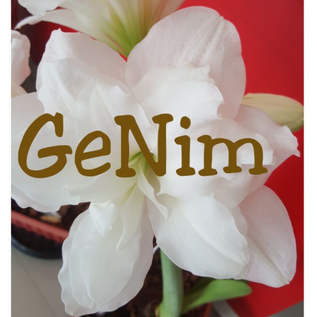 genim, ร้านค้าออนไลน์ | Shopee Thailand