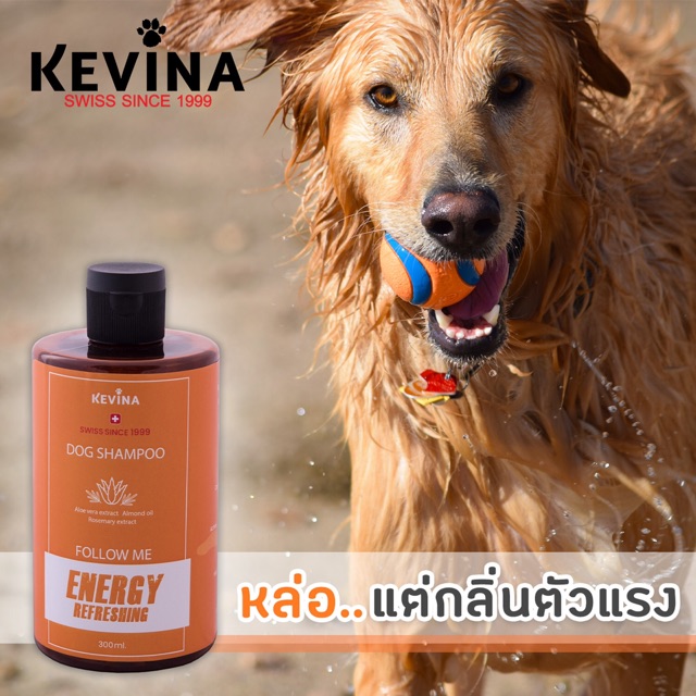 KEVINA แชมพูสำหรับน้อง????&???? 300ml เกรดพรีเมี่ยมที่ช่างตัดขนมืออาชีพ ...