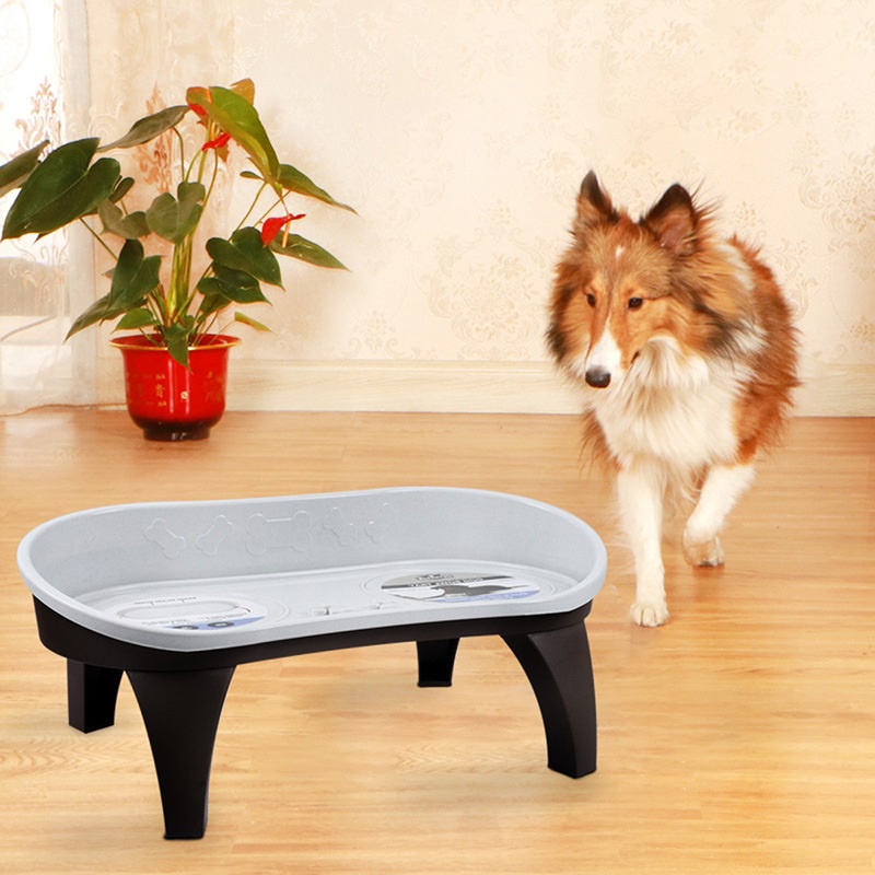 Dog Bowl Tray Double Stainless-Steel Bowls Detachable Tray Protect Pets ...
