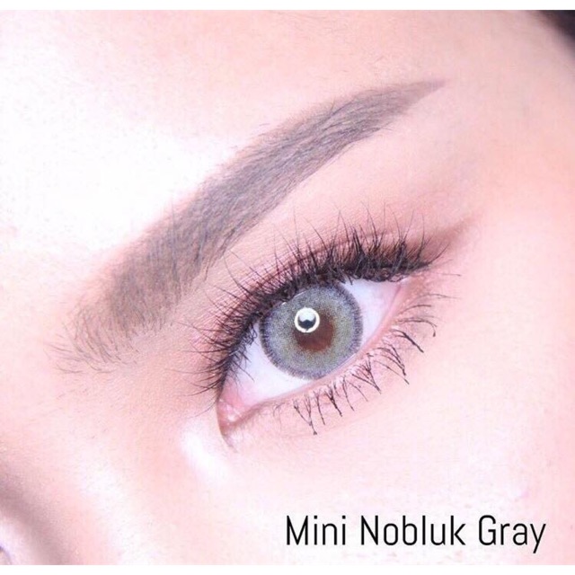 Mini Gray ถูกที่สุด พร้อมโปรโมชั่น ก.พ. 2026 | BigGoเช็คราคาง่ายๆ