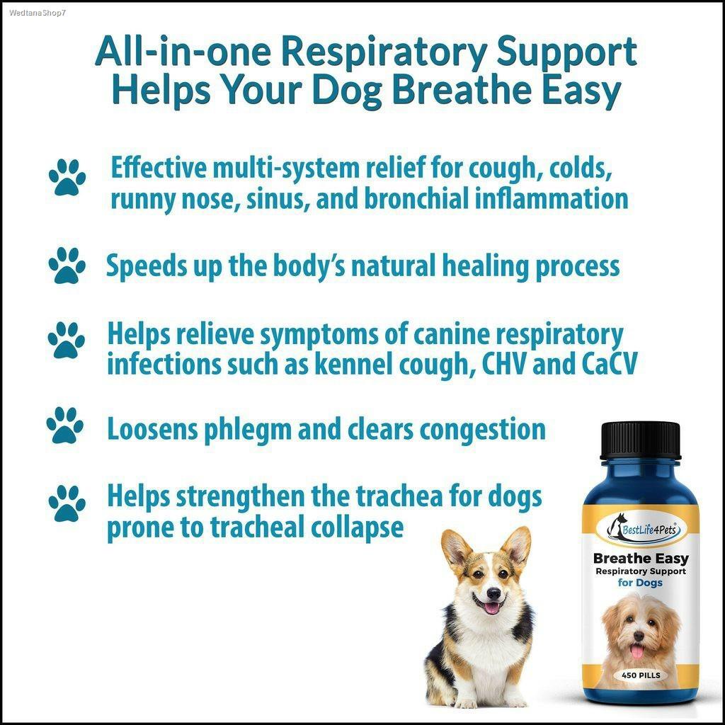 DOG Breathe Easy บรรเทา สุนัขเป็นหวัด ไอ จาม น้ำมูกไหล แน่นจมูก หอบ คัด ...