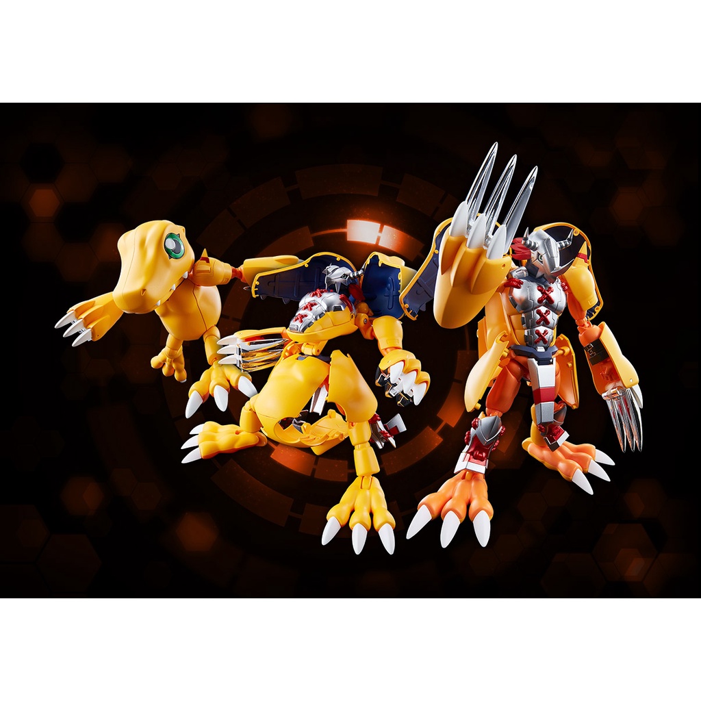 Digimon Adventure Digivolving Spirits 01 Agumon to WarGreymon(ดิจิม่อน ...