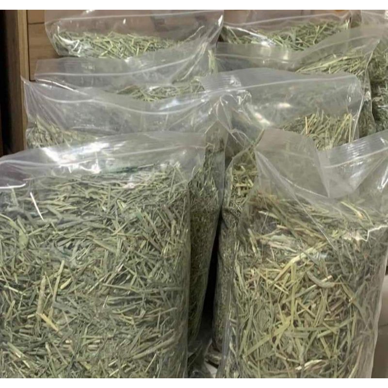 ทิมโมธี Ward Rugh (ร่อนฝุ่น) เกรดซุปเปอร์พรีเมี่ยม - ban.hug.gastby ...