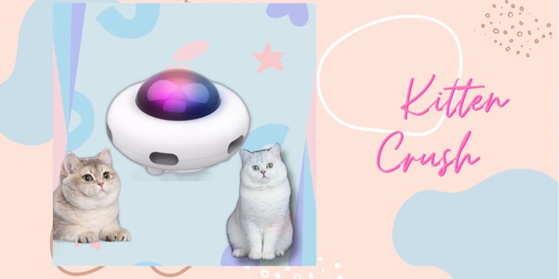 Kitten Crush, ร้านค้าออนไลน์ | Shopee Thailand