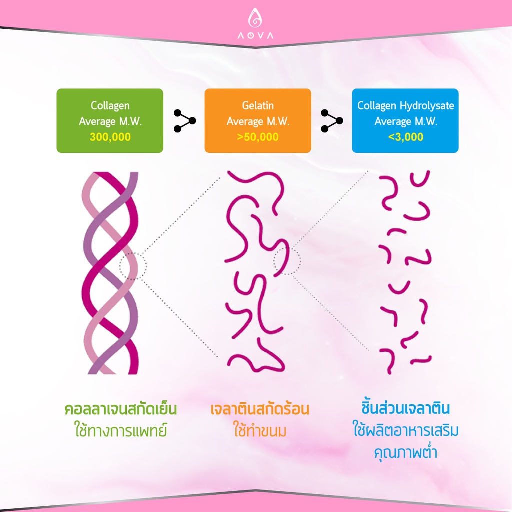 AOVA Eternity Abalone Cream ครีมหอยเป๋าฮื้อ ขนาด 30 มล - aova_official ...