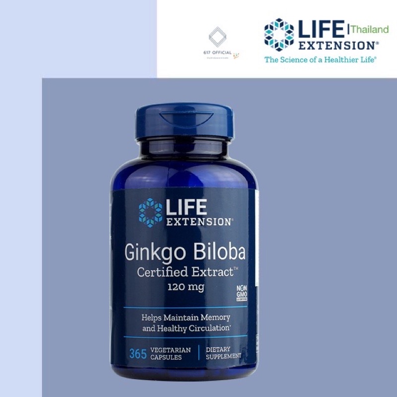 Now Ginkgo Biloba 60mg 60เม็ด แปะก๊วย ใบแปะก๊วย เสริมความจำ บำรุงสมอง ...