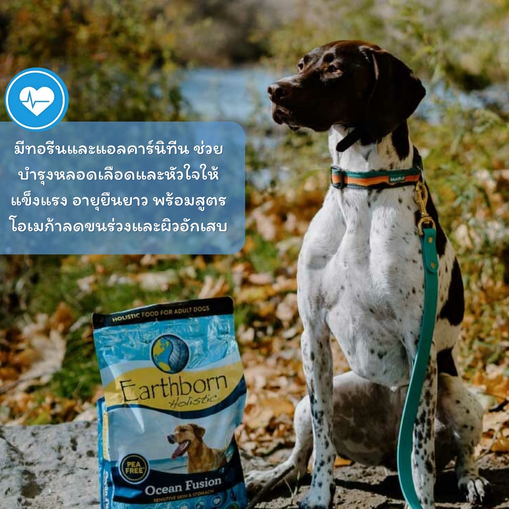 Ocean Fusion เอิร์ธบอร์นโฮลิสติก โอเชี่ยนฟิวชั่น(2.5kg) - earthborn ...