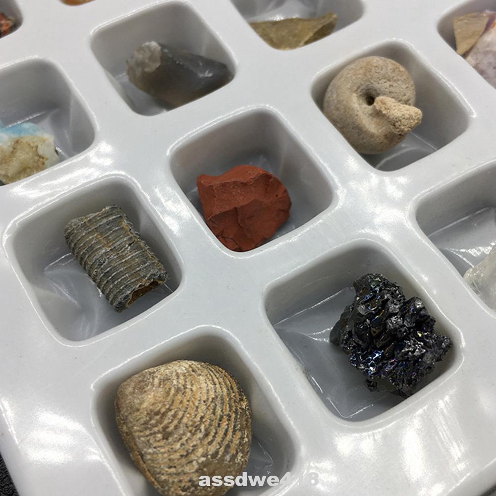 Craft Durable Ornament Teaching Materials Useful Ore Set - assdwe418.th ...