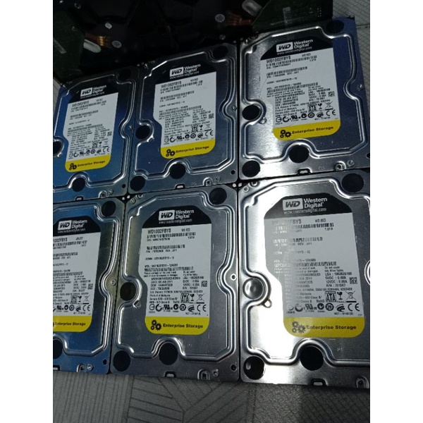 HDD 1 TB คุณภาพดีราคาถูก คละยี่ห้อ - raya199927 - ThaiPick