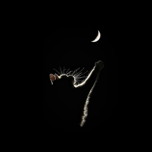 cheraim.official, ร้านค้าออนไลน์ | Shopee Thailand