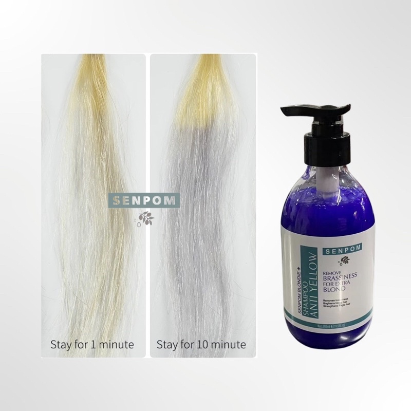 แชมพูม่วง senpom จากอิตตาลี่ ฆ่าไรเหลืองไรส้ม ไม่ติดมือ สำหรับสายฝอ ...