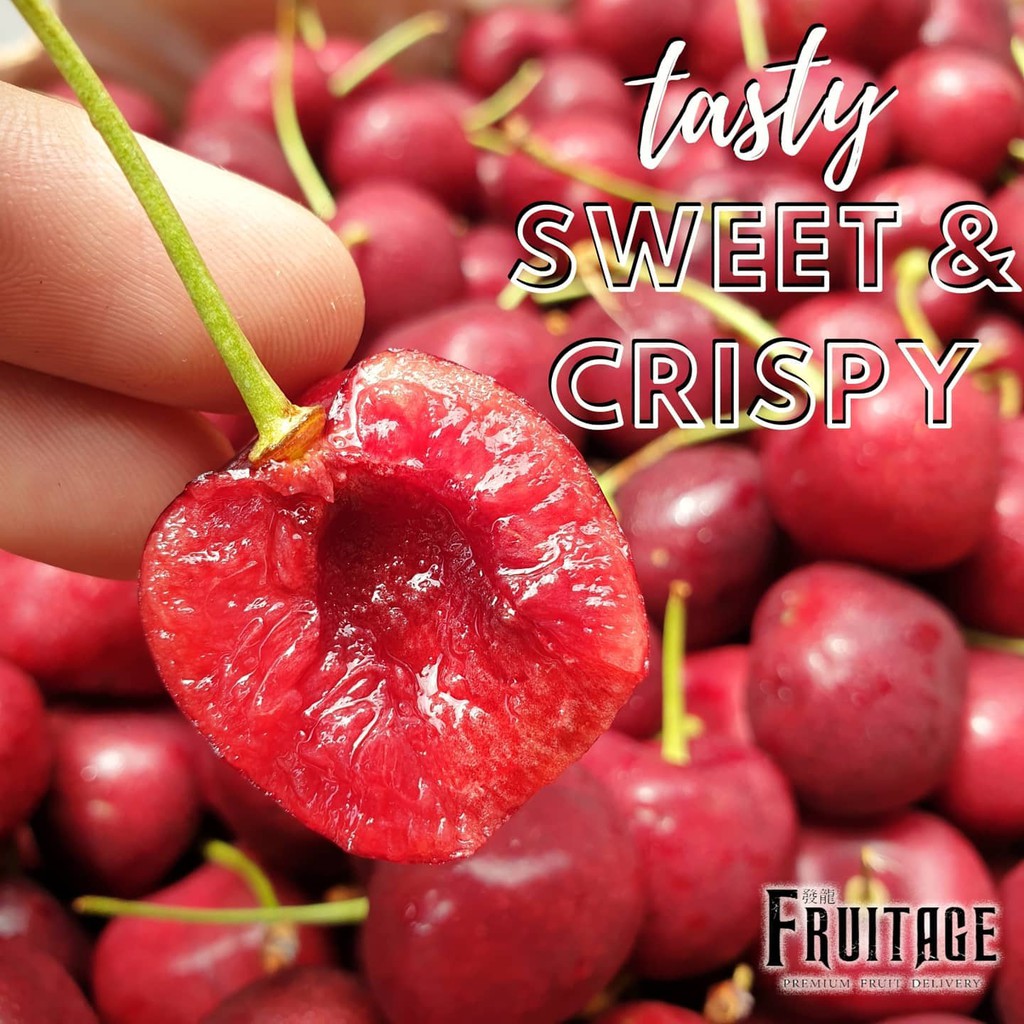 เชอรี่แดง Cherry (500g/เกรดA) (USA/Chile) ~ลดพิเศษ~ Premium เชอรี่สด ...