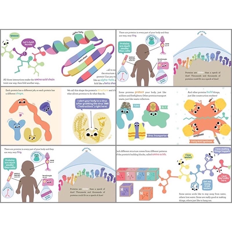 ชุดหนังสือเด็ก 4 เล่ม Baby Biochemist STEM Board Book University ...