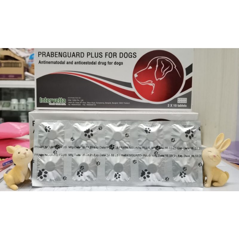 ถ่ายพยาธิสำหรับสุนัข Prabenguard plus for dog 1แผง(10 เม็ด) 1กล่อง (20 ...