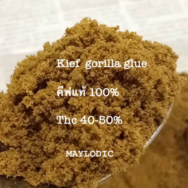 คีฟ ผงคีฟ กอลลิล่า กระปุกละ 1กรัม kief มาว100 ขายดีมาก - maylodic2 ...