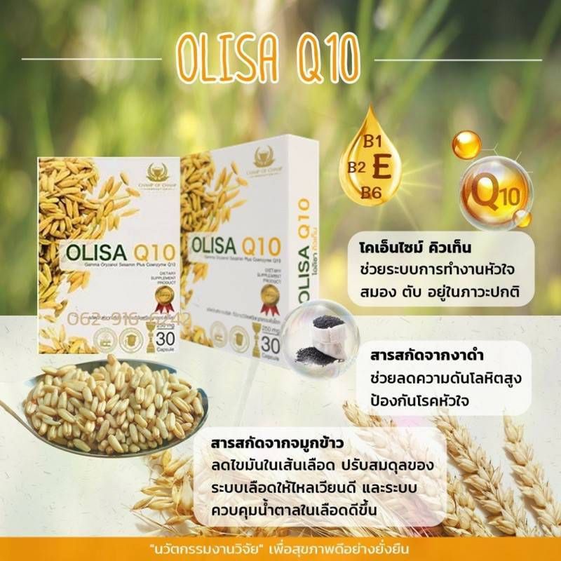 Olisa Q10โอลิชาของแท้ สารสกัดจมูกข้าว ผสมวิตามิน ลดคอเลสเตอรอล ไตรกลีเซอไรด์(30แคปซูลกล่อง ...