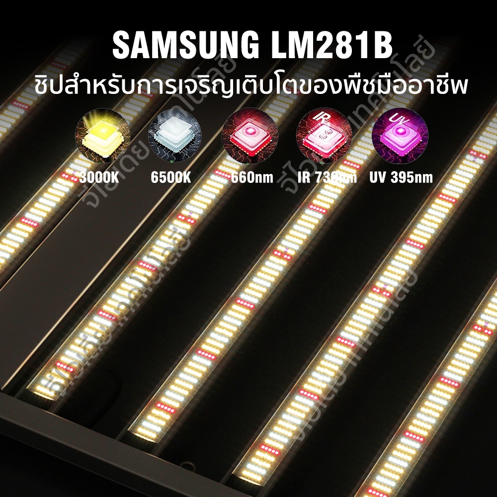 พร้อมส่ง1.8M SAMSUNG LM281B ไฟUVIR Full Spectrum ไฟปลุกกัญชา ...