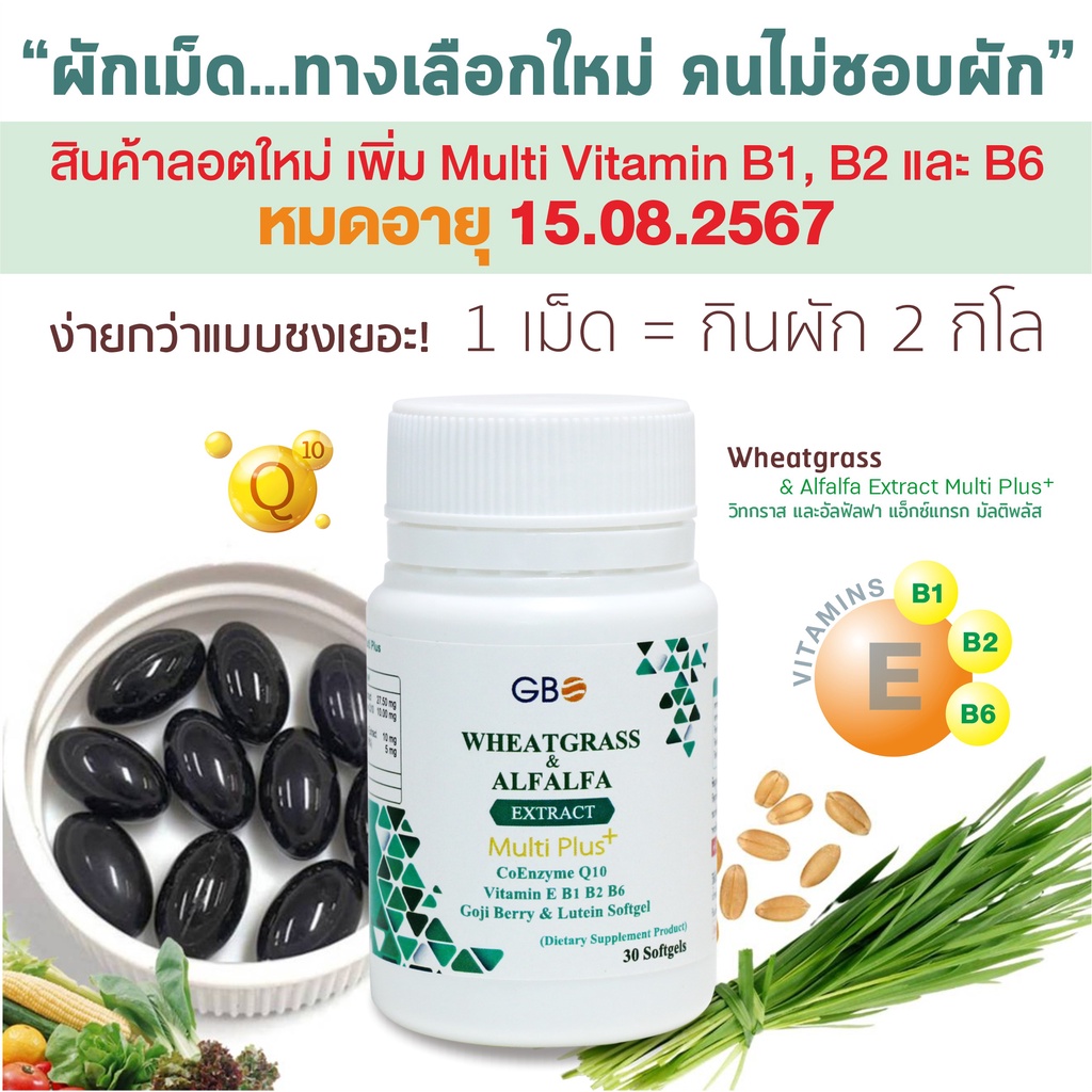 ขายราคาส่ง ผักเม็ด Wheatgrass Alfalfa Extract Multi Plus Q10 (ฟรีค่าส่ง) - ezasignz - ThaiPick