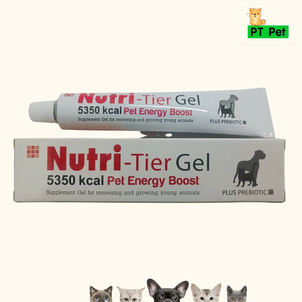 Nutri–Tier Gel Pet Energy Boost Plus prebiotic ขนาด 30 ml. นิวตริ–เทียร์ เจล อาหารเสริมสำหรับ ...
