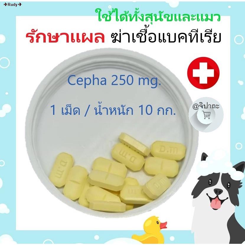 Cepha ถูกที่สุด พร้อมโปรโมชั่น พ.ย. 2022|BigGoเช็คราคาง่ายๆ