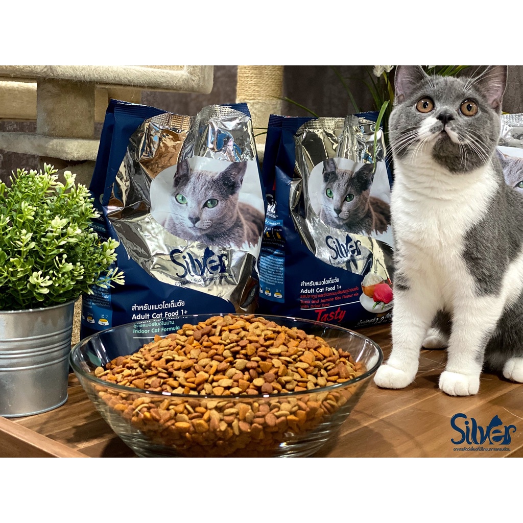 Silver อาหารแมว สำหรับแมวโต สูตรควบคุมความเค็ม 1.2kg - jlekpetshop ...